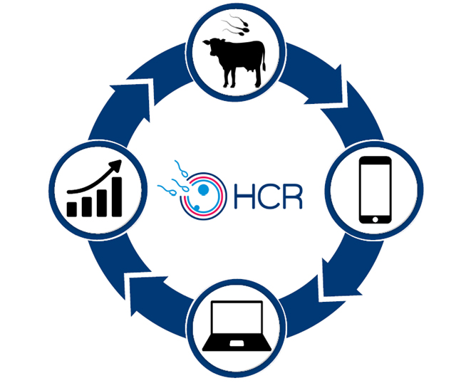 High Conception Rate (HCR) Program - ABS Global Australia