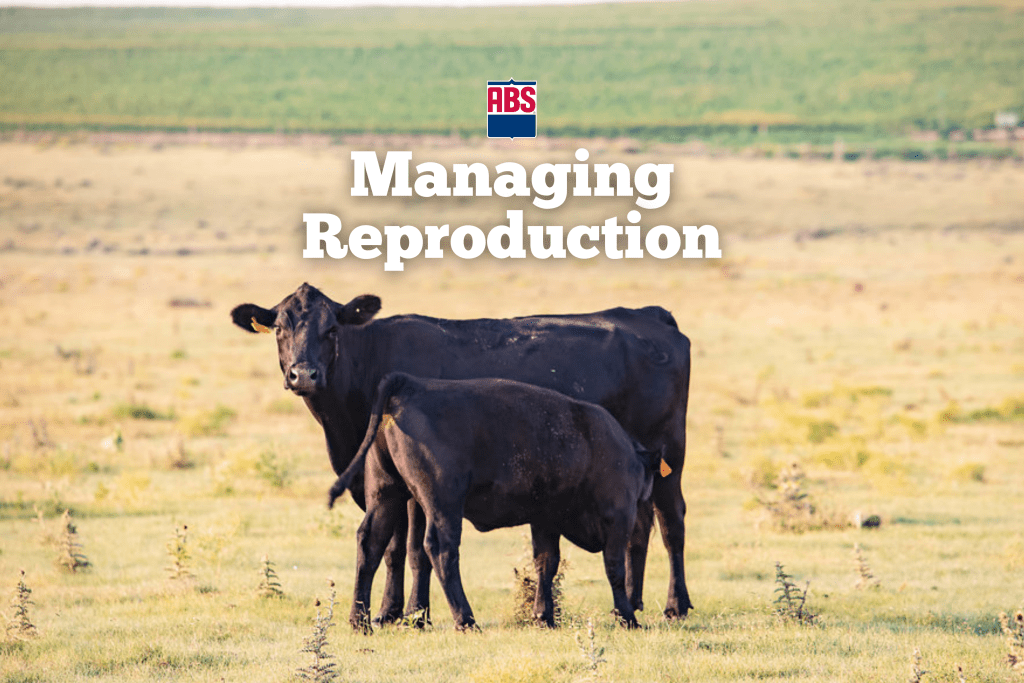 Managing Reproduction - ABS Global Australia