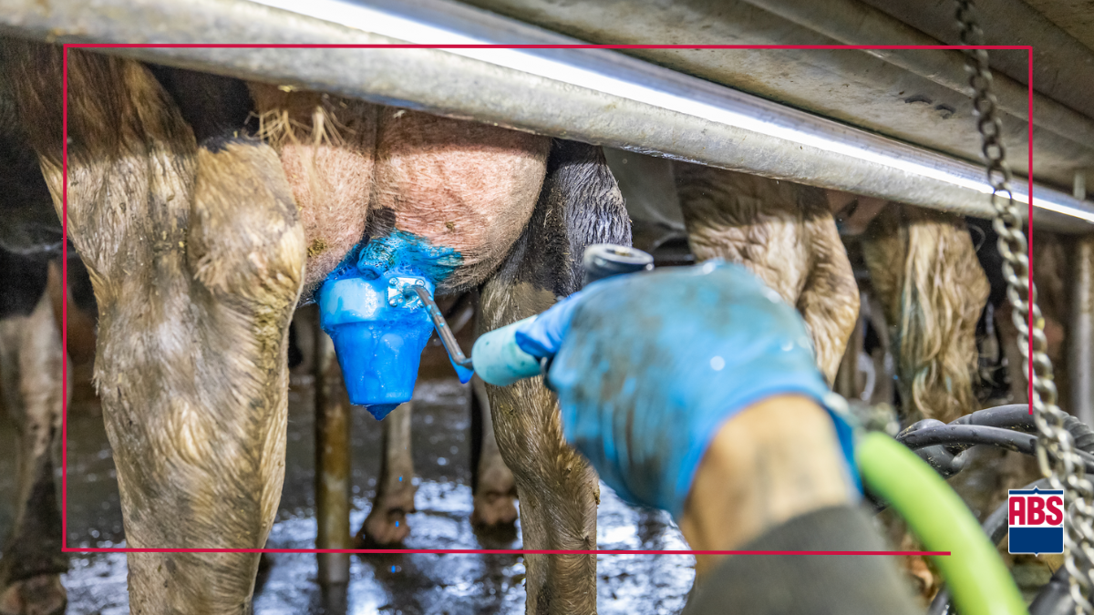 Nine Reasons to Manage Udder Health - ABS Global Australia