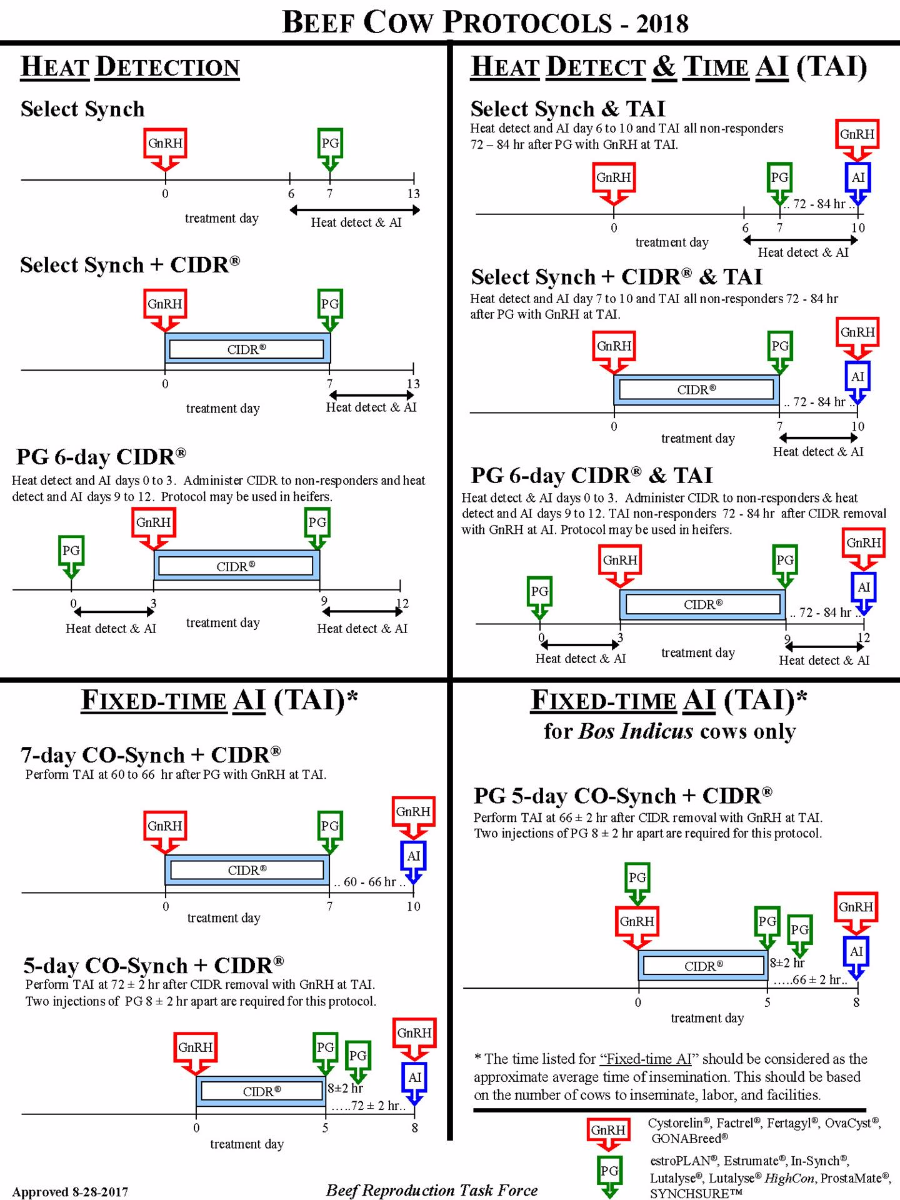 Synchronization Protocols - ABS Global Canada (en)