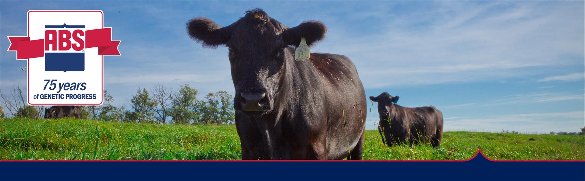 Beef - ABS Global Canada (en)