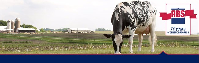 Dairy - ABS Global Canada (en)