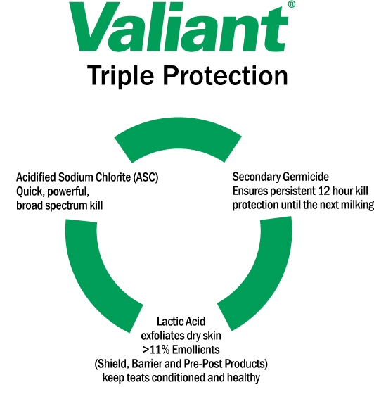 Valiant - ABS Global Canada (en)