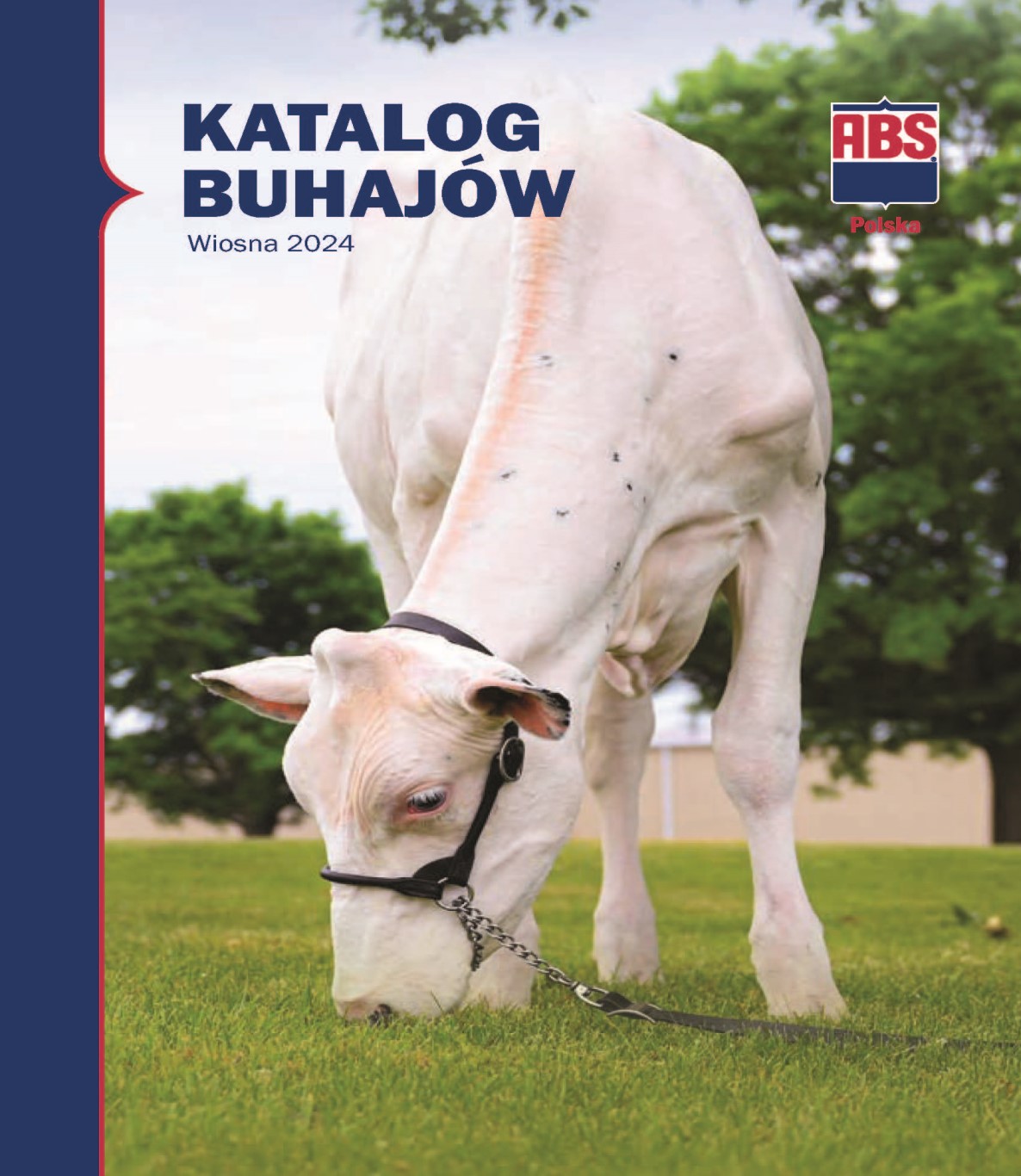 Katalogi Online - ABS Global Polska