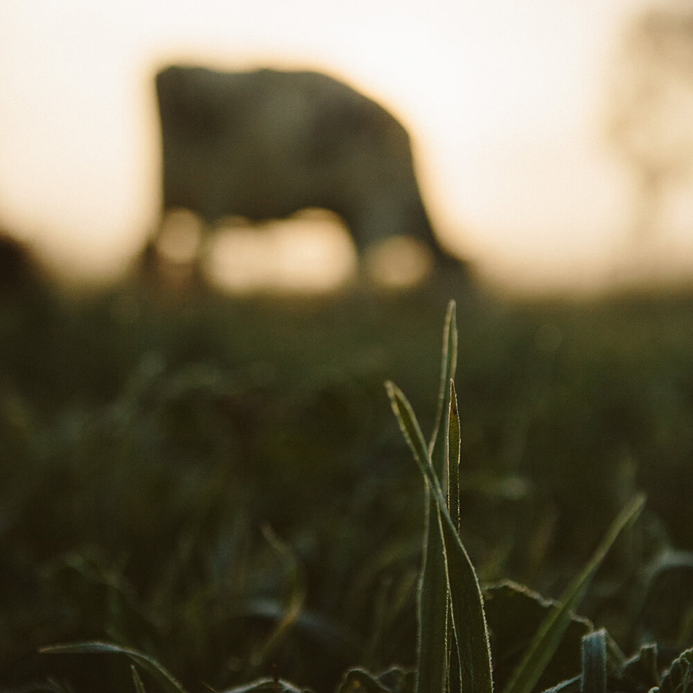 About Us - ABS Global UK