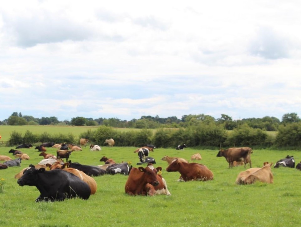 Evolution Farming - ABS Global UK