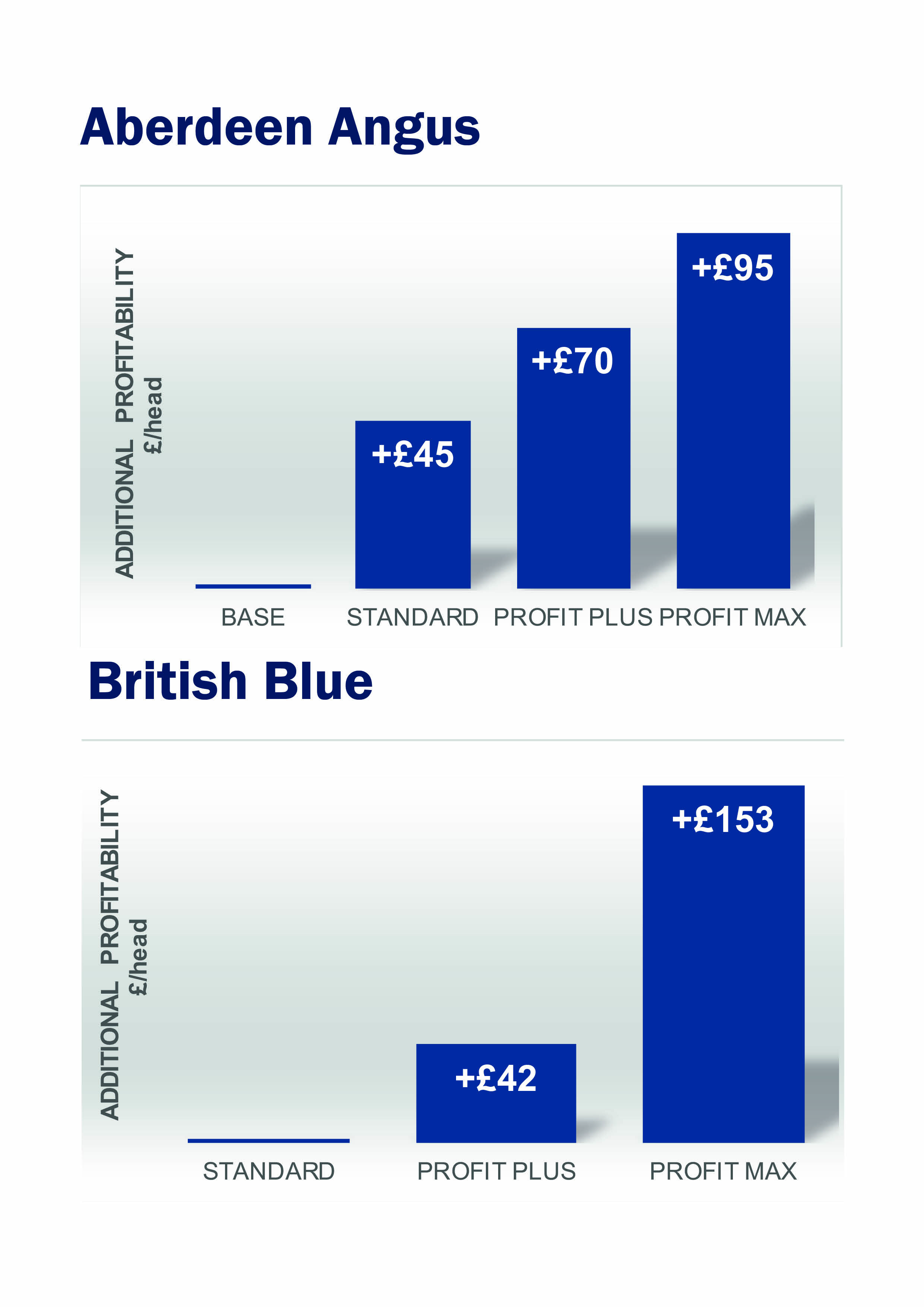 Beef InFocus™ - ABS Global UK