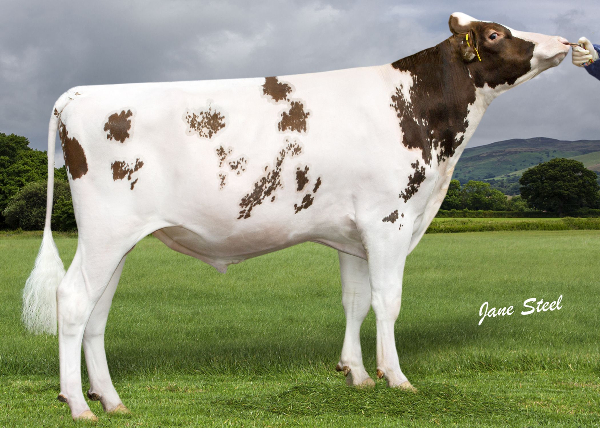 August 2021: Genus ABS Rules the £PLI Chart - ABS Global UK