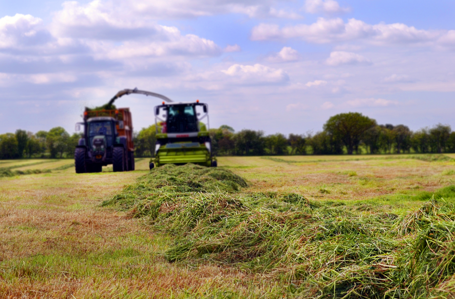 Making silage after poor weather conditions - ABS Global UK