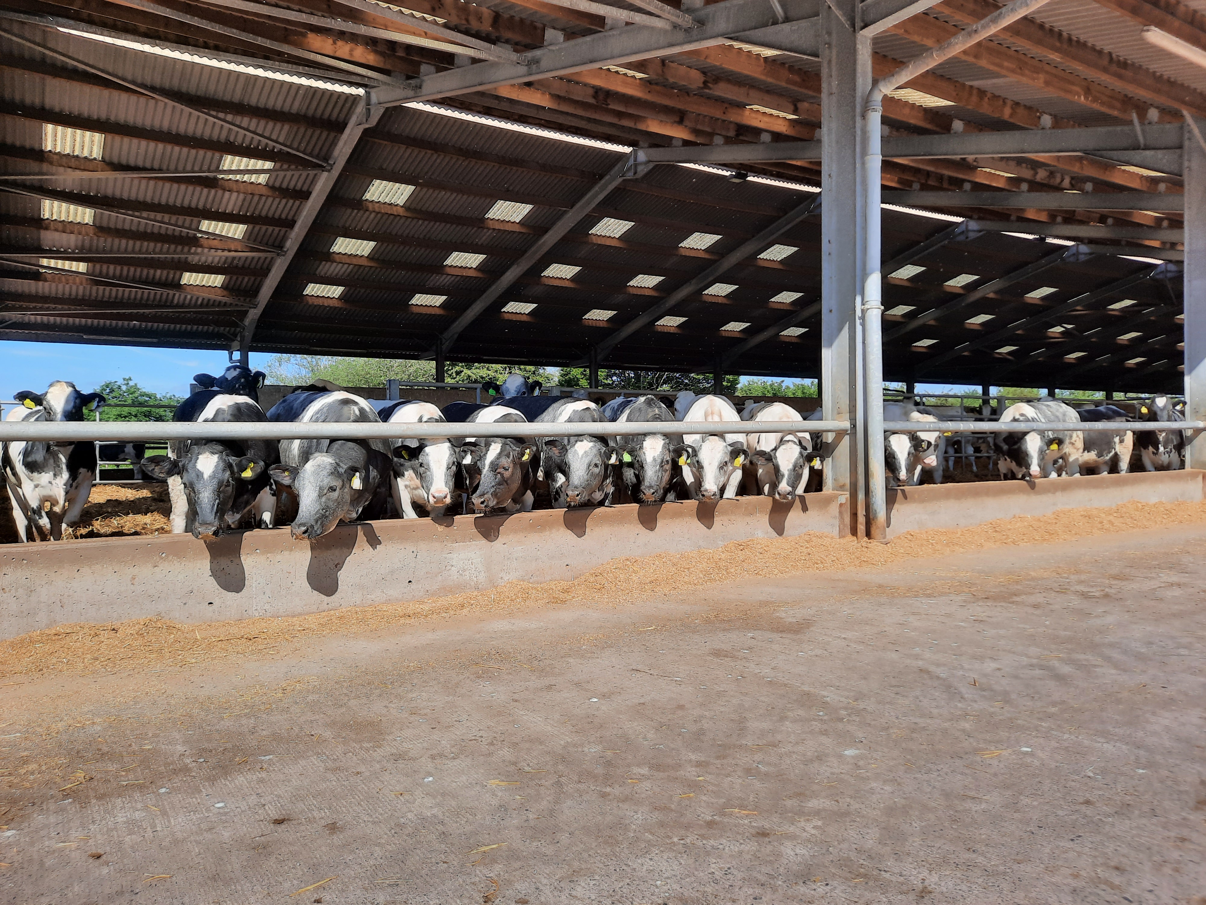 Genus ABS awarded Climate Smart Funding - ABS Global UK