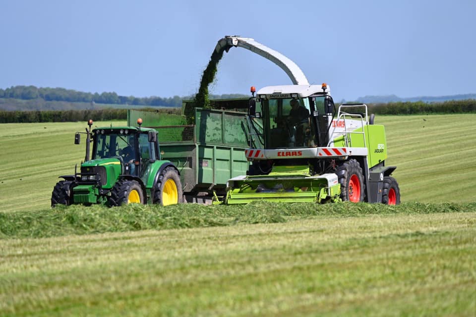 How to make the best silage after bad weather - ABS Global UK