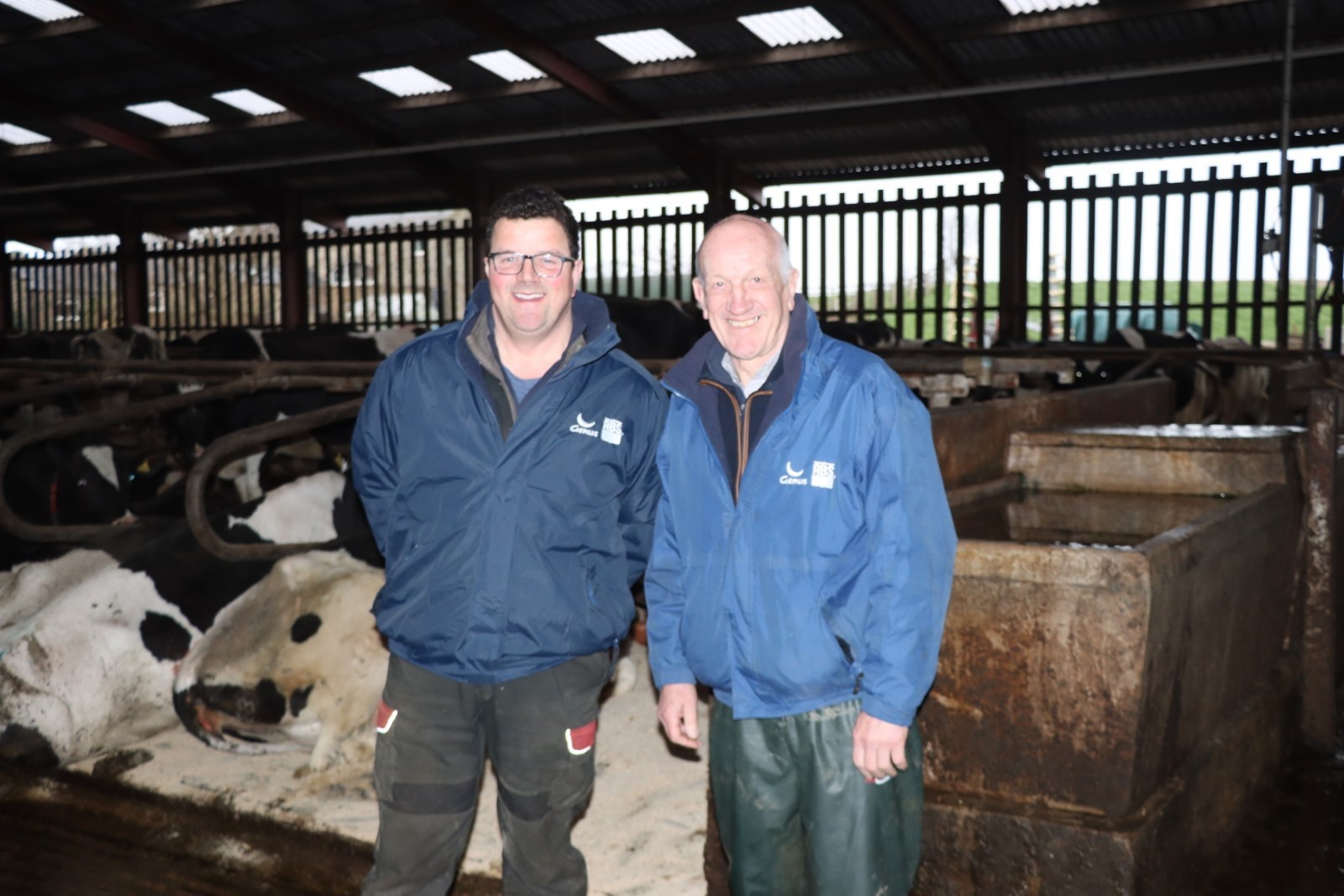 Robotic milking success in Yorkshire - ABS Global UK