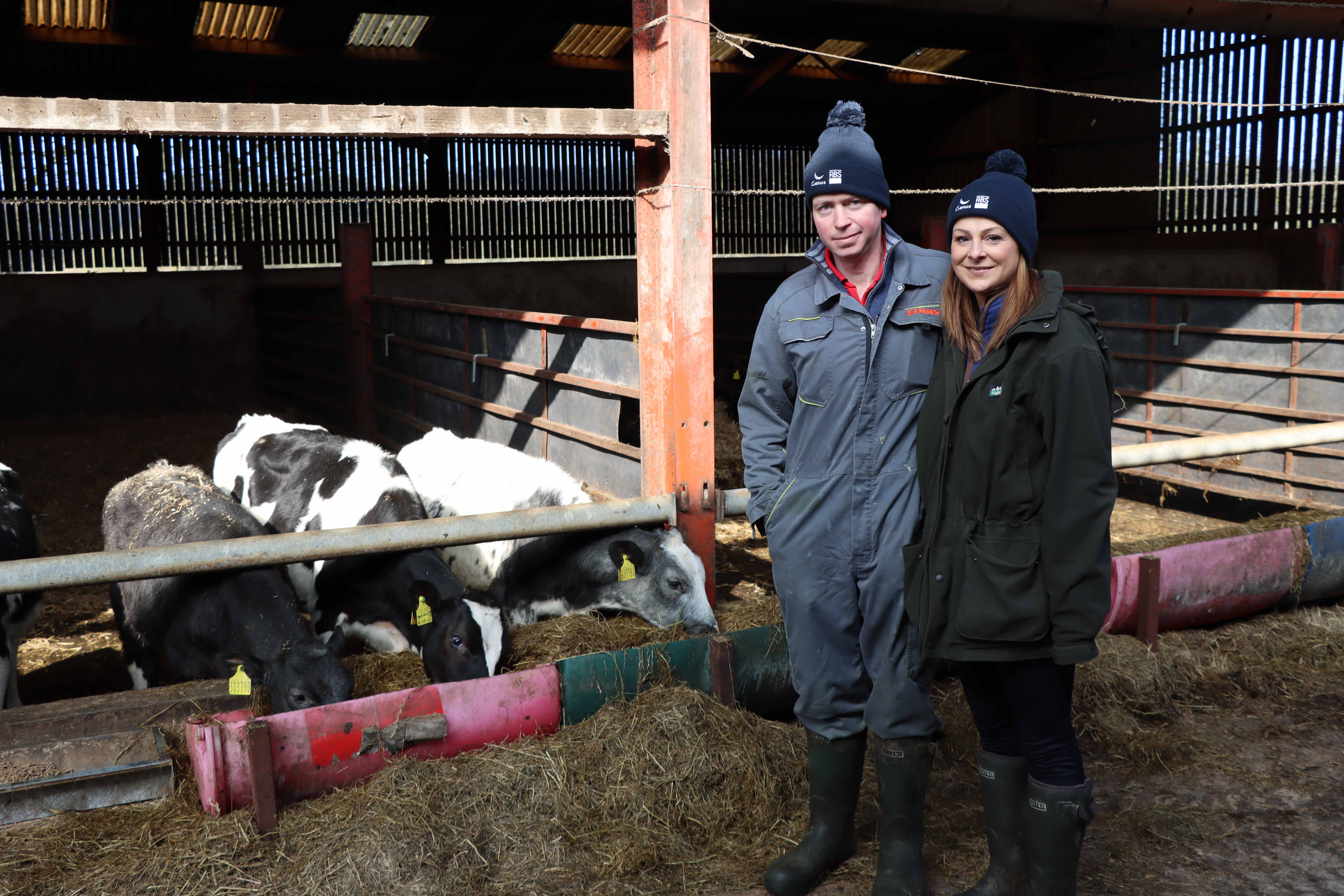 Using Male Sexed Beef genetics to increase profits - Genus ABS