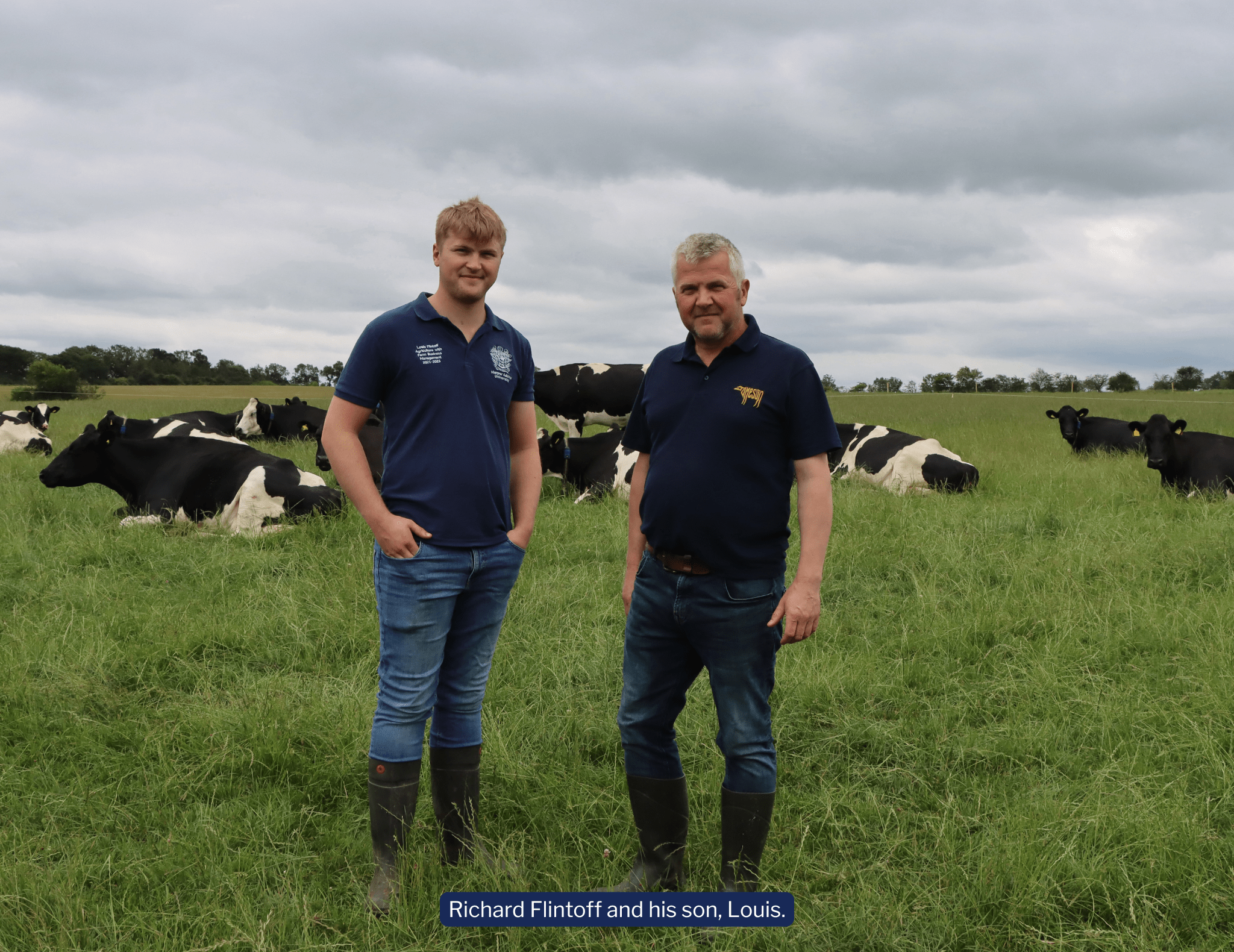 Building a herd that suits a grass-based, block-calving system - ABS ...