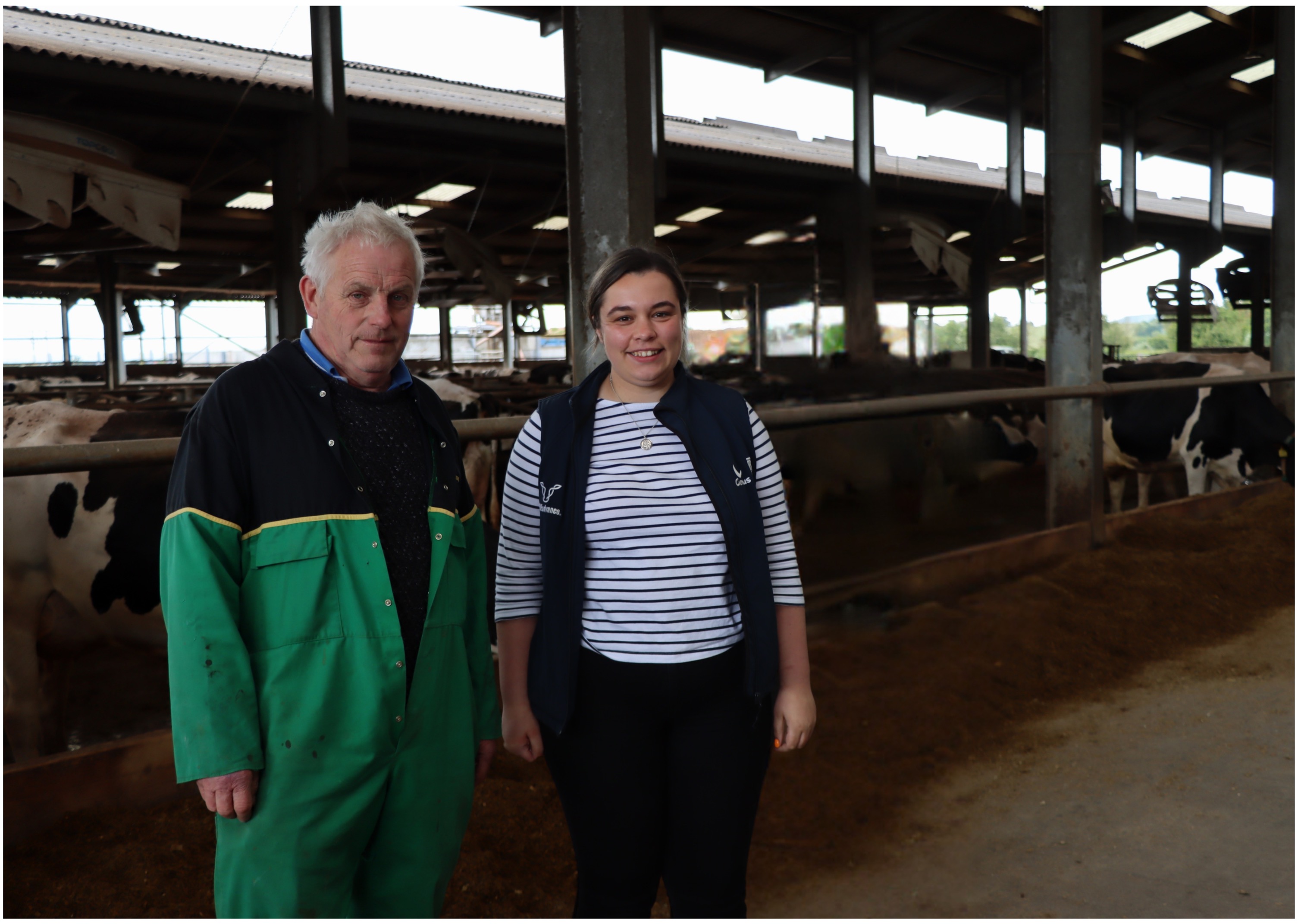 Pioneering herd efficiency at Wheatland Dairy Farm - ABS Global UK
