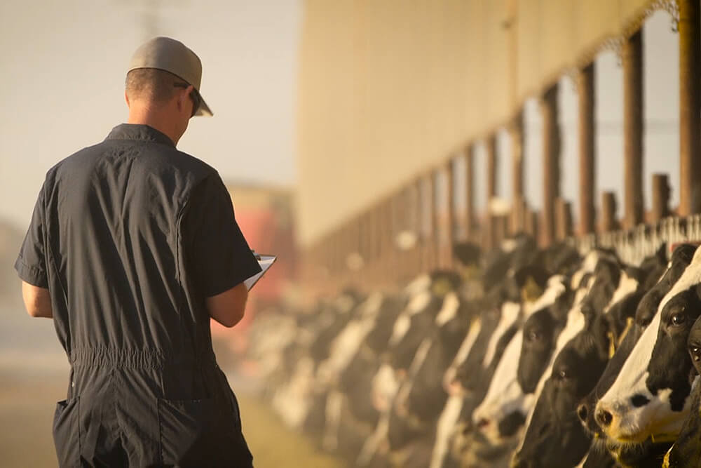 Genetic Management System - ABS Global US