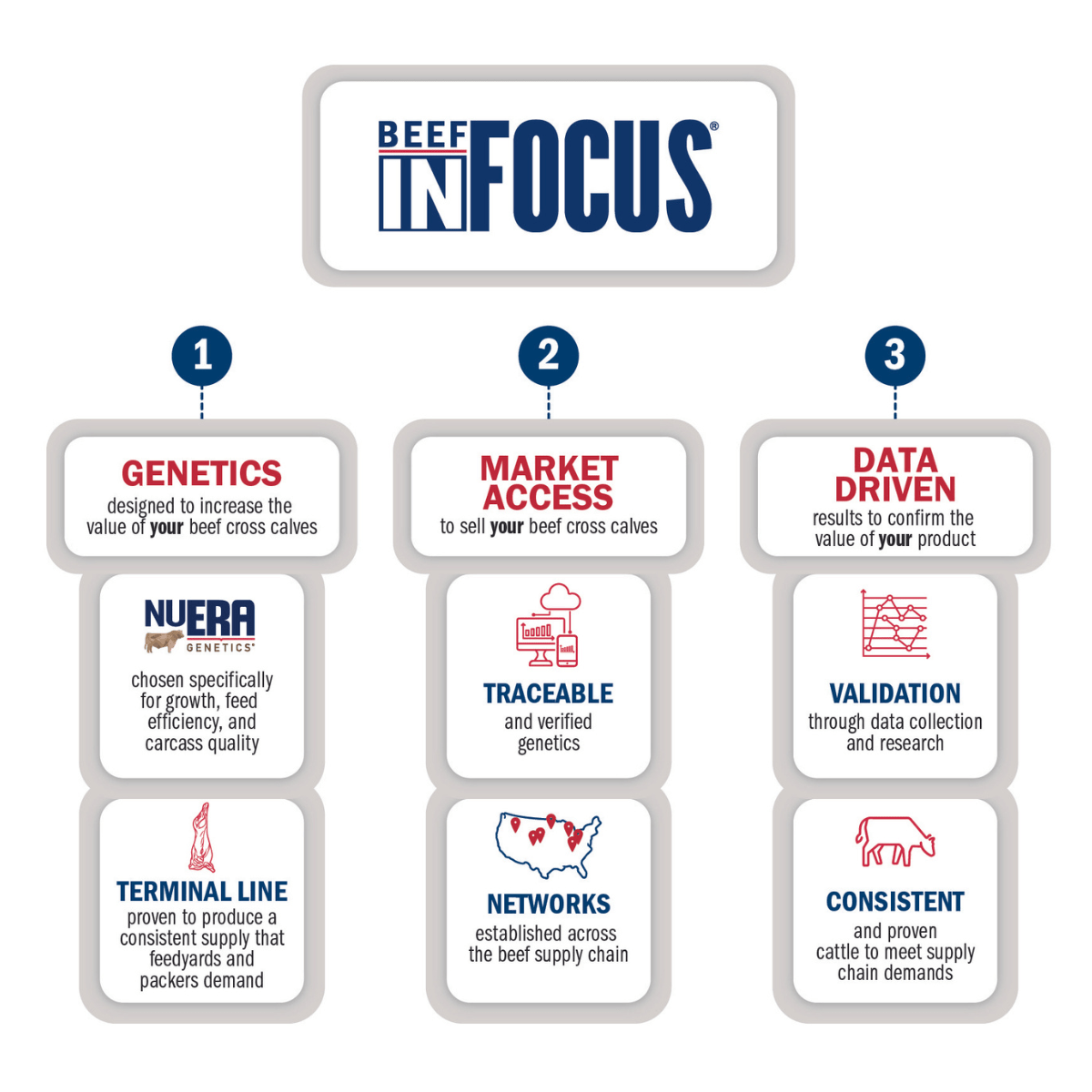 Beef InFocus ™ - ABS Global US