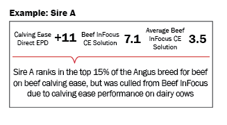 Calving Ease Confidence - ABS Global US