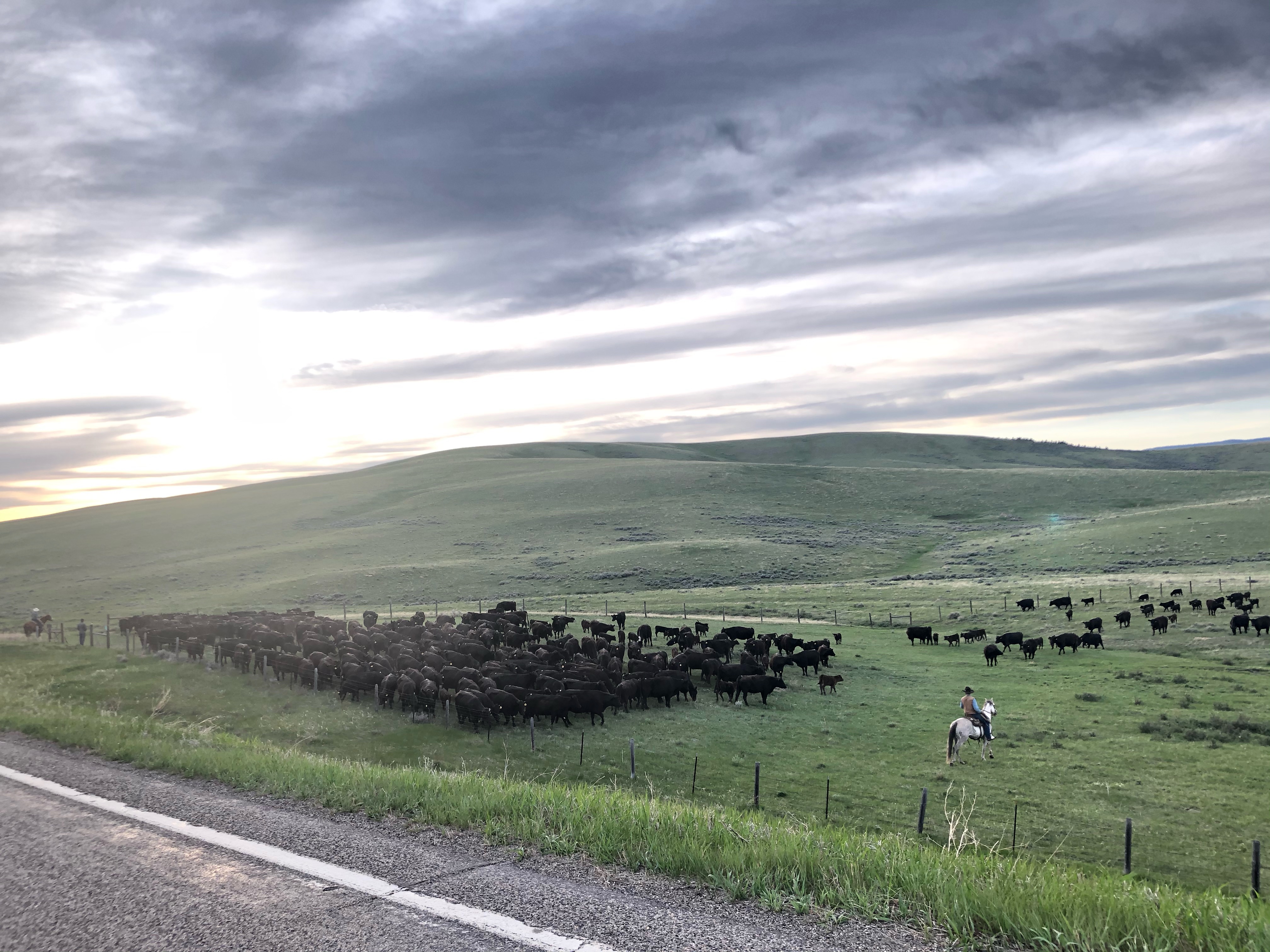 ABS Global Announces Partnership; The Bair Ranch, Montana - ABS Global US