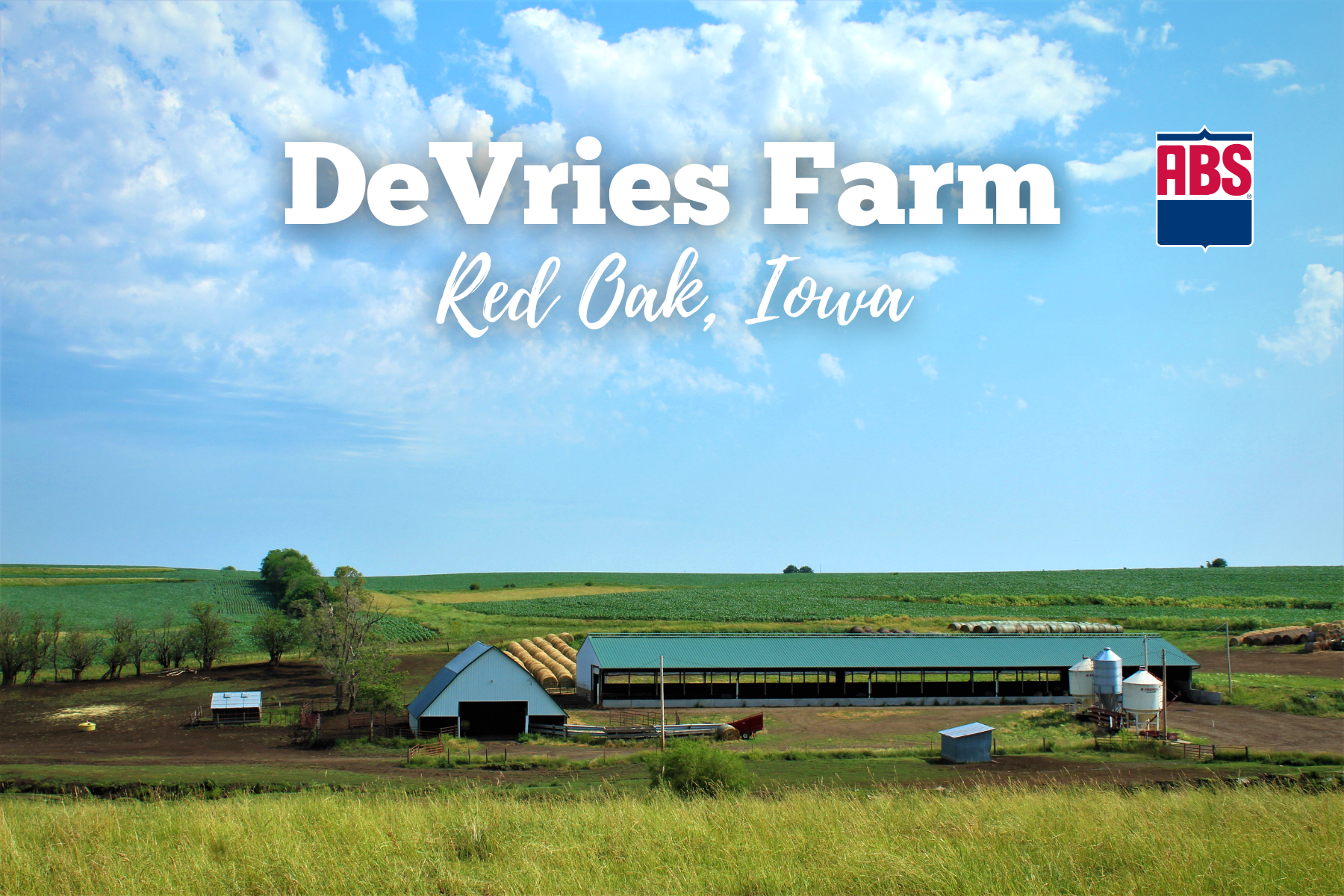DeVries Farm - ABS Global US