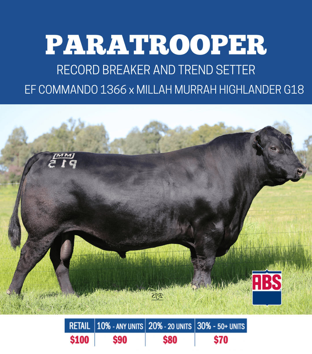 Elite Angus Sires from the Land Down Under - ABS Global US