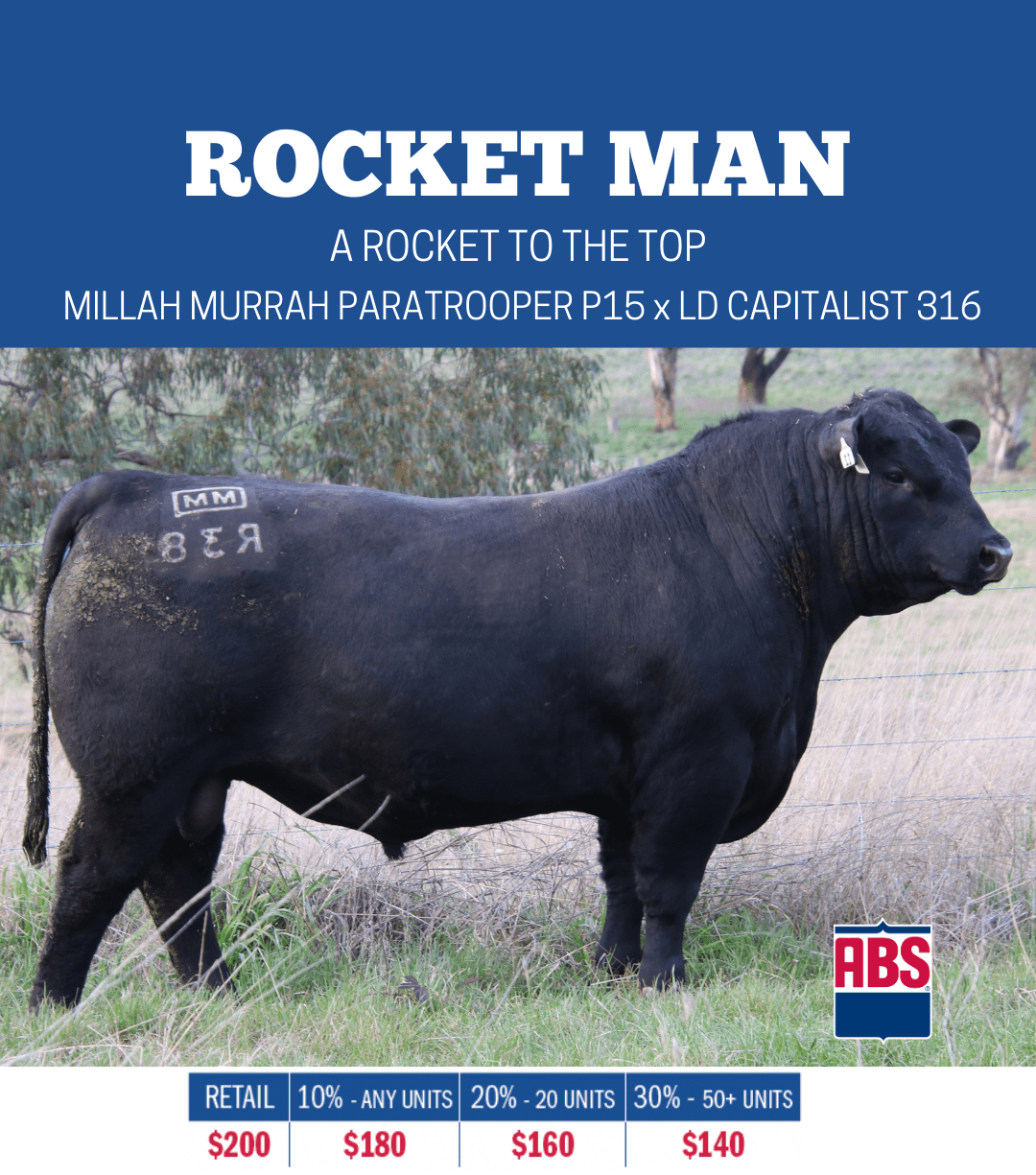 Elite Angus Sires from the Land Down Under - ABS Global US