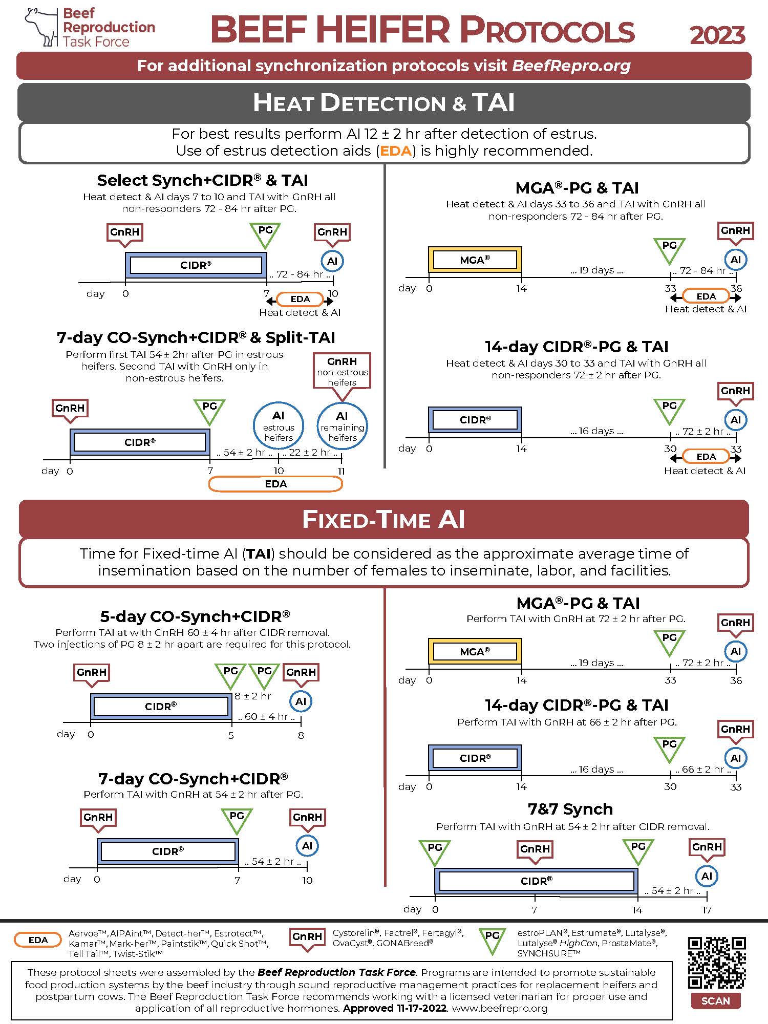 Beef Synchronization Protocols - ABS Global USA