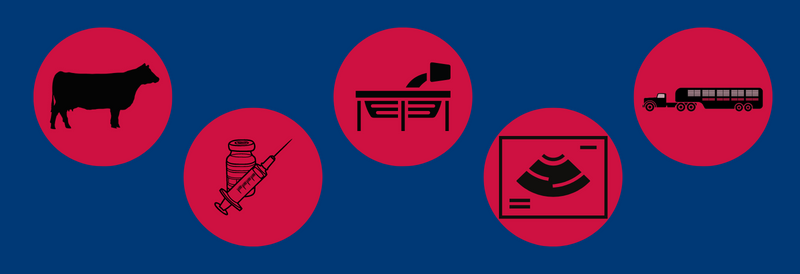 Five Factors to Manage for a Successful Reproduction Program - ABS ...