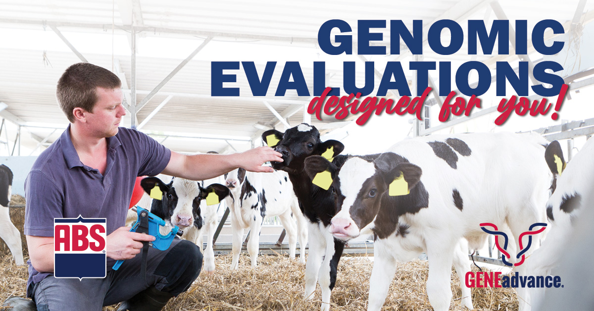 Genomic Evaluations Designed for You - ABS Global US
