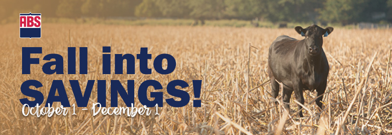 Fall into Savings - ABS Global US