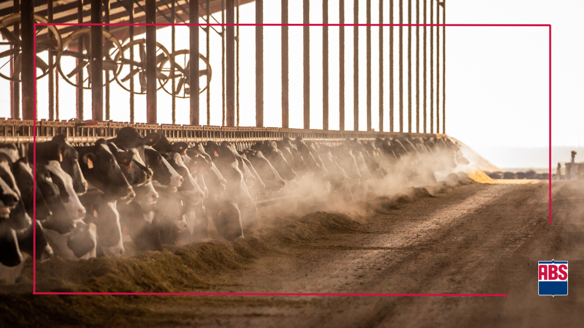 Celebrating 55 Years of the Genetic Management System - ABS Global US