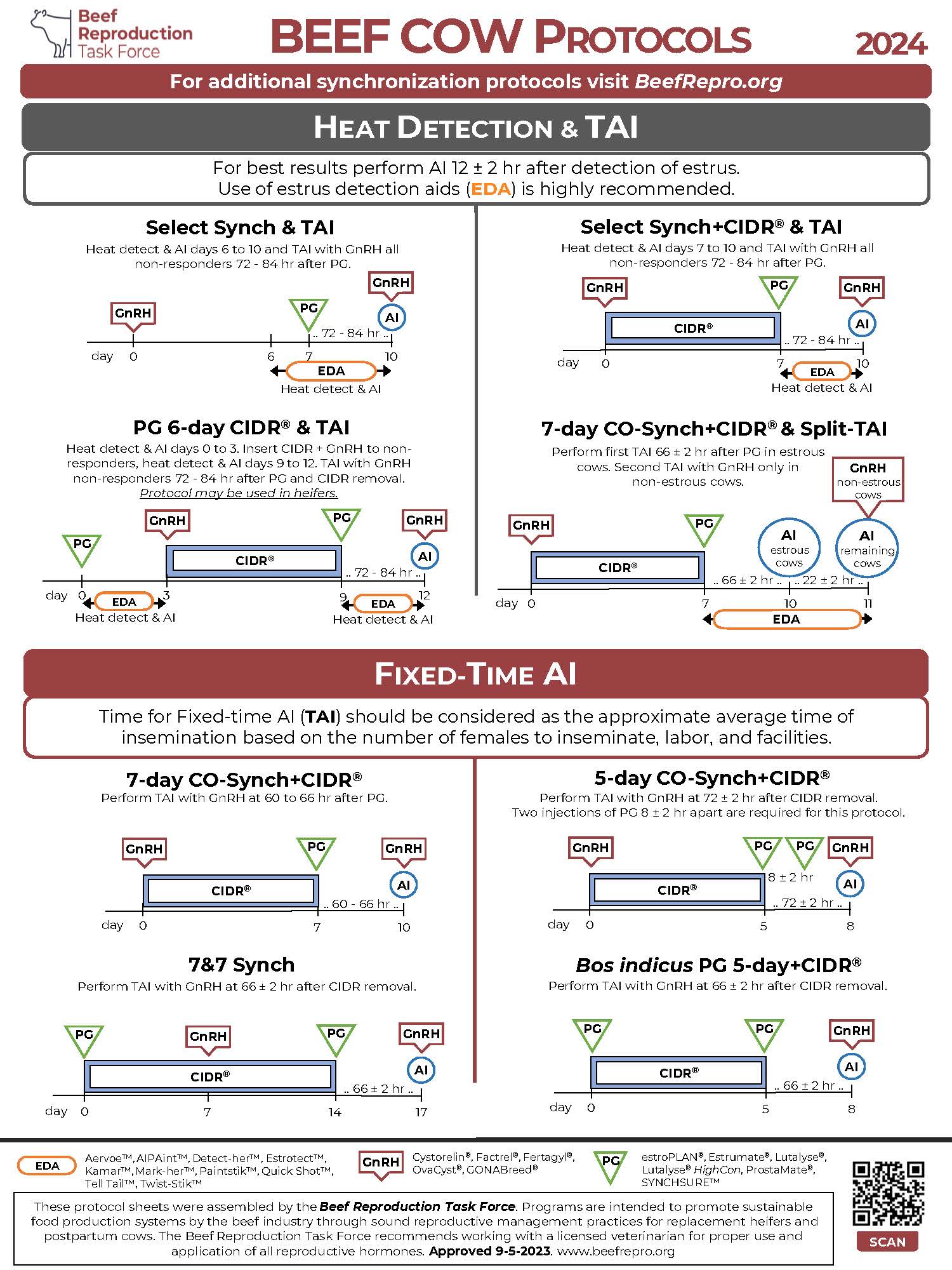 Beef Synchronization Protocols - ABS Global US