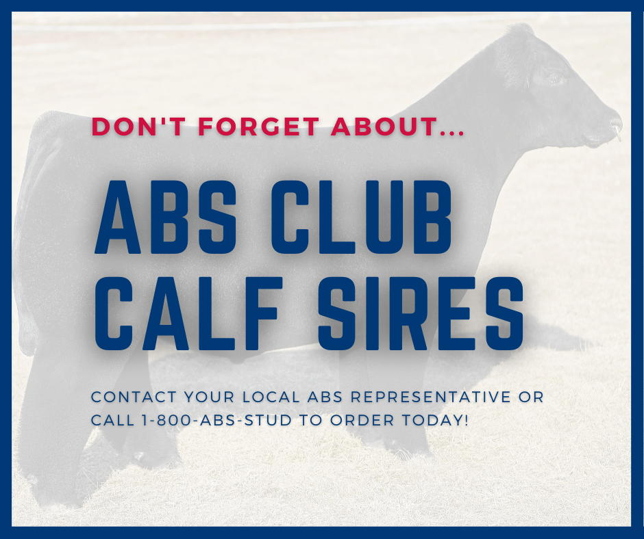 Four Club Calf Sires on Sale Now - ABS Global US