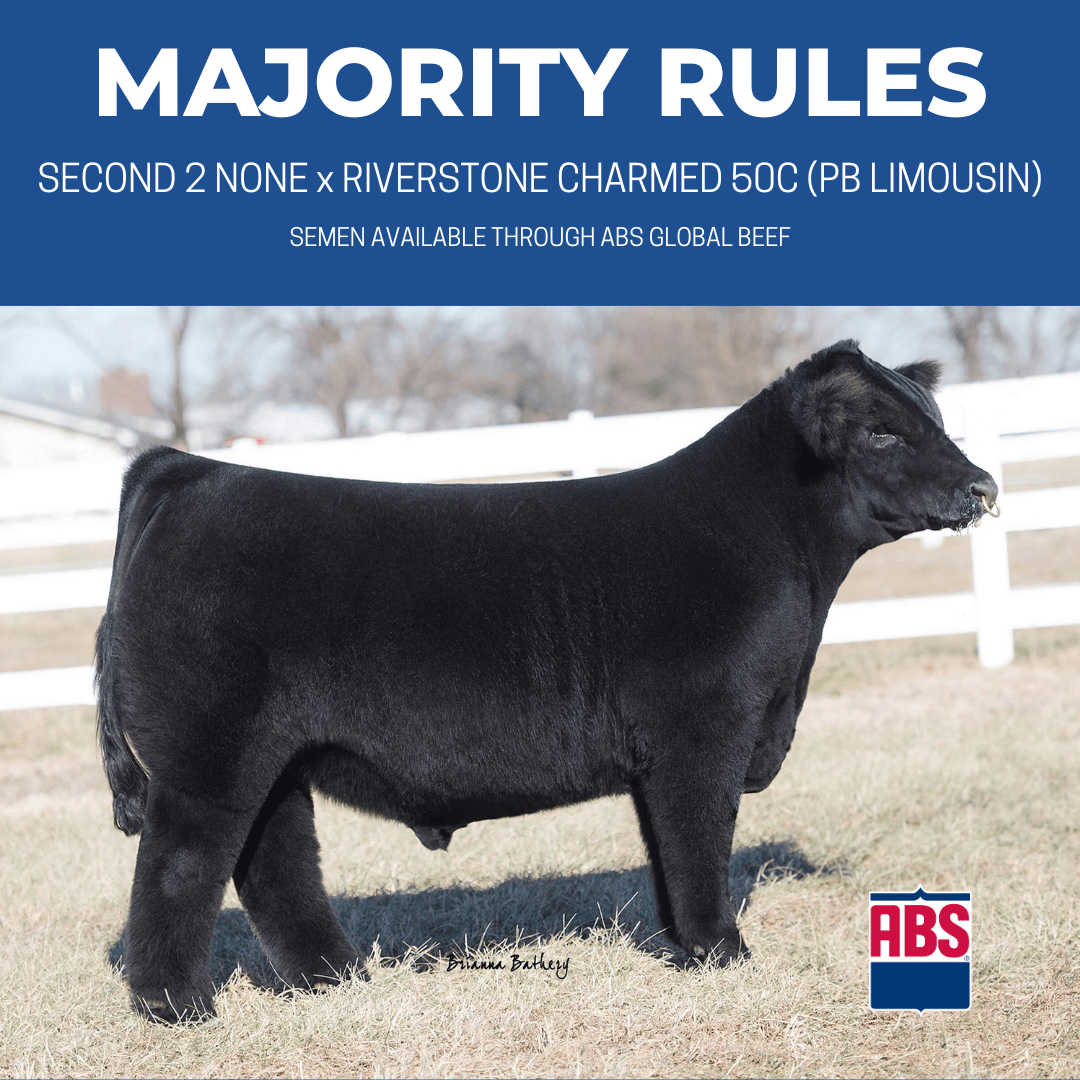 Four Club Calf Sires on Sale Now - ABS Global US