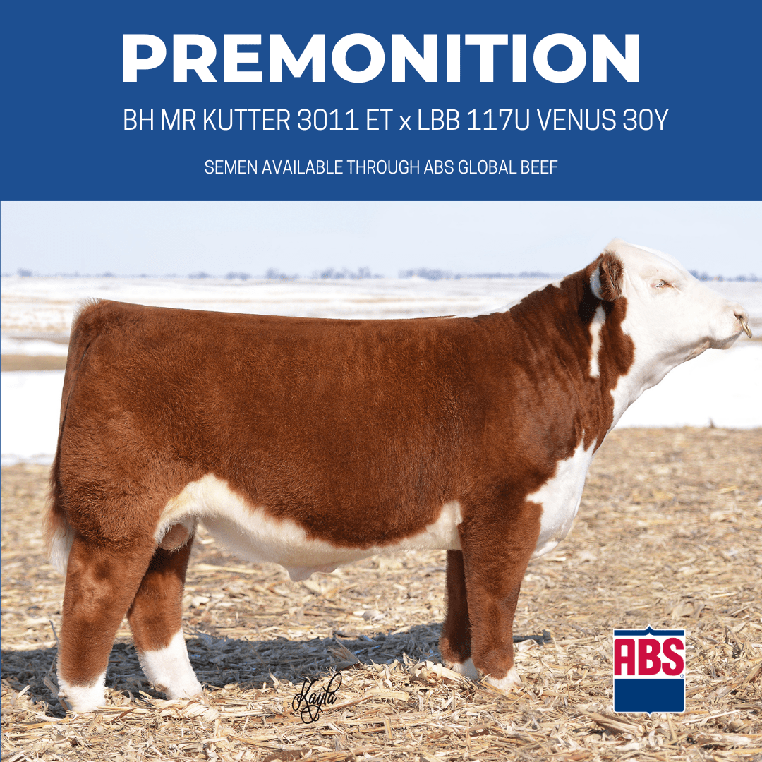Four Club Calf Sires on Sale Now - ABS Global US