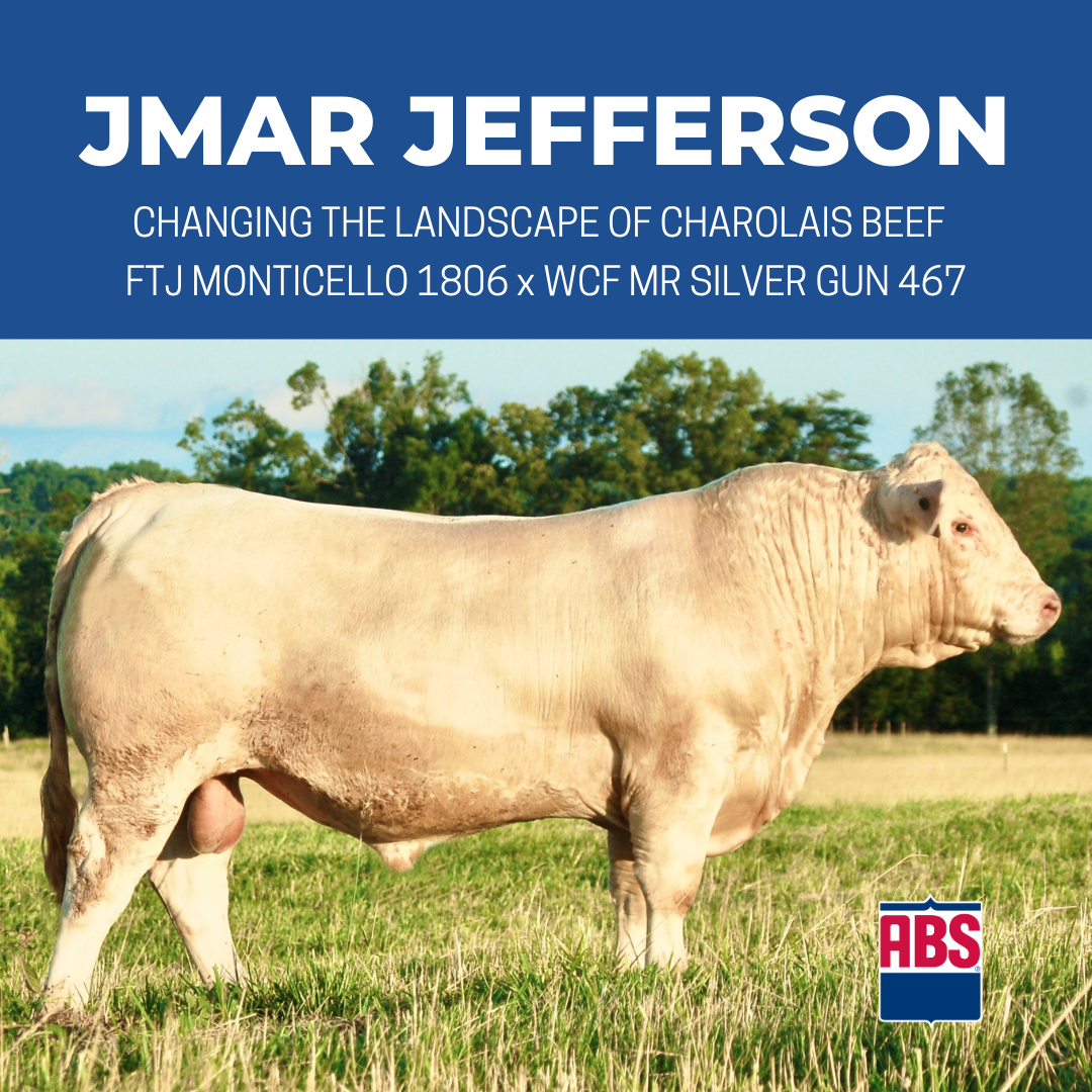 2024 Beef Fall Special - ABS Global US