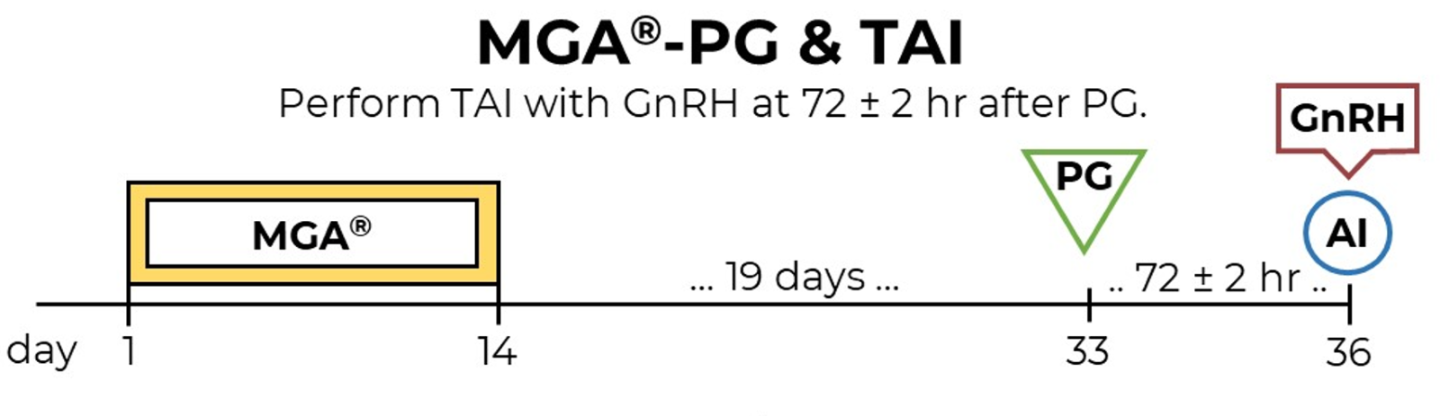 Beef Synchronization Protocols and Their Benefits - ABS Global US