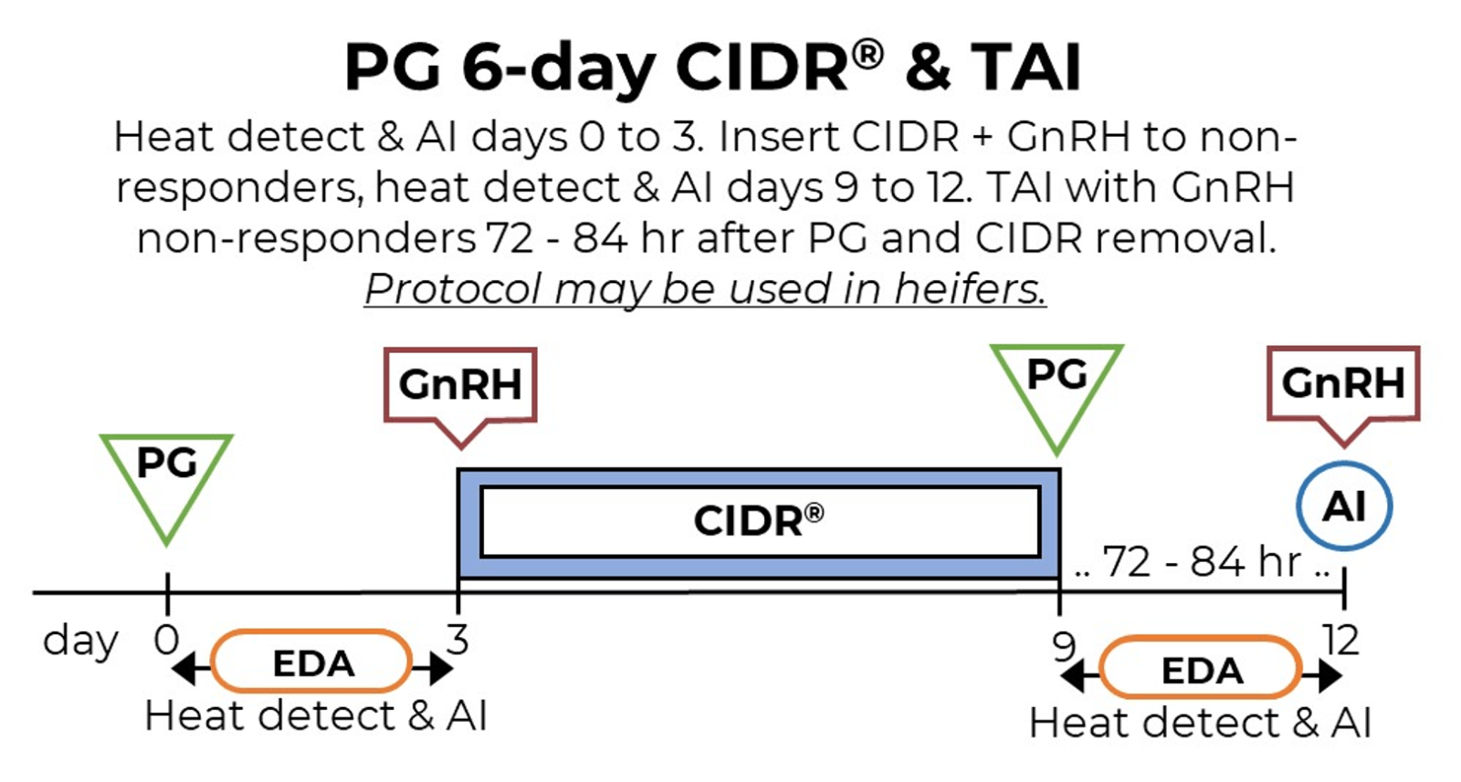 Beef Synchronization Protocols and Their Benefits - ABS Global US