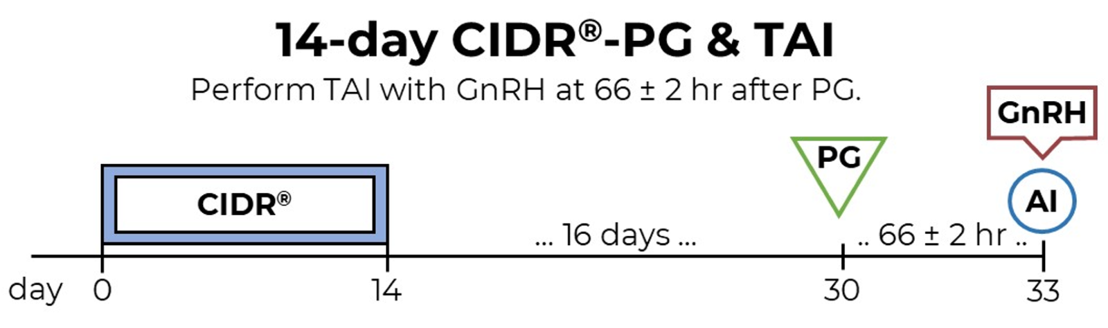 Beef Synchronization Protocols and Their Benefits - ABS Global US