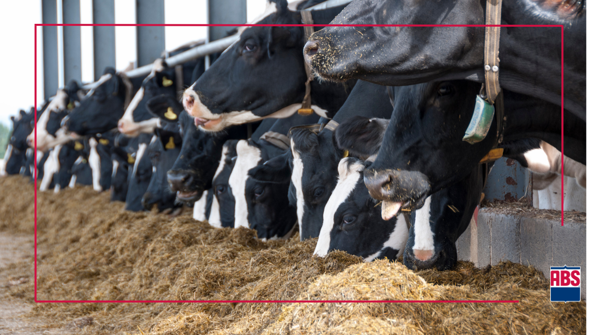 Making Sense of the Dollars and Cents: Using Dairy Production Traits ...