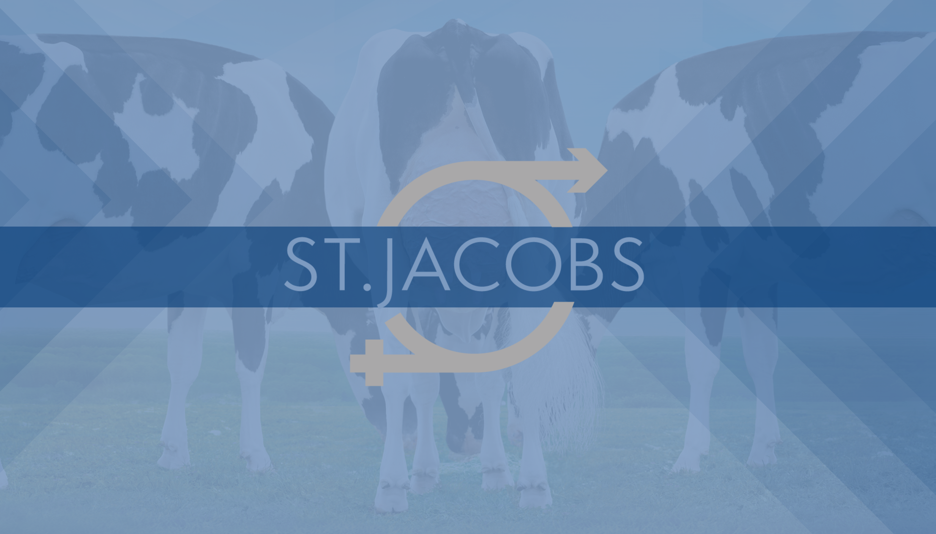 3 New Linear Choice and 1 New St. Jacobs Choice Join the Lineup - ABS ...