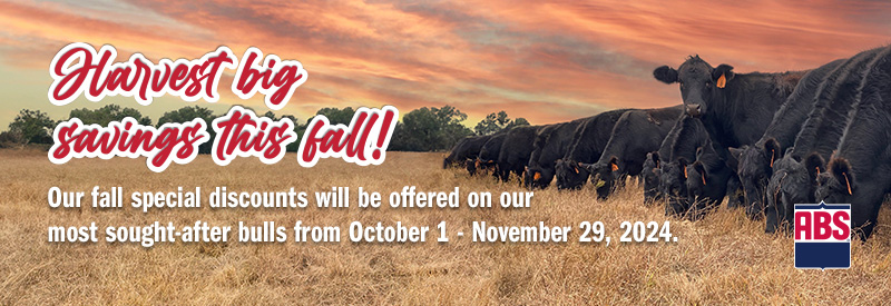 2024 Beef Fall Special - ABS Global US