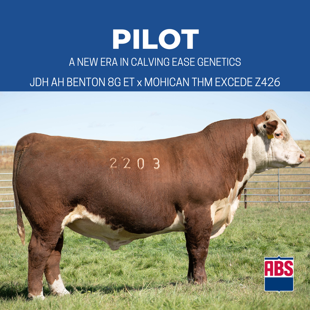 2024 Beef Fall Special - ABS Global US