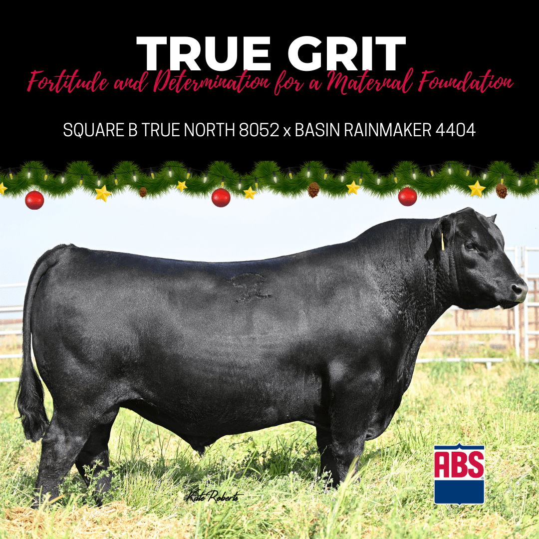 12 Top Beef Sires and a Partridge in a Pear Tree - ABS Global US