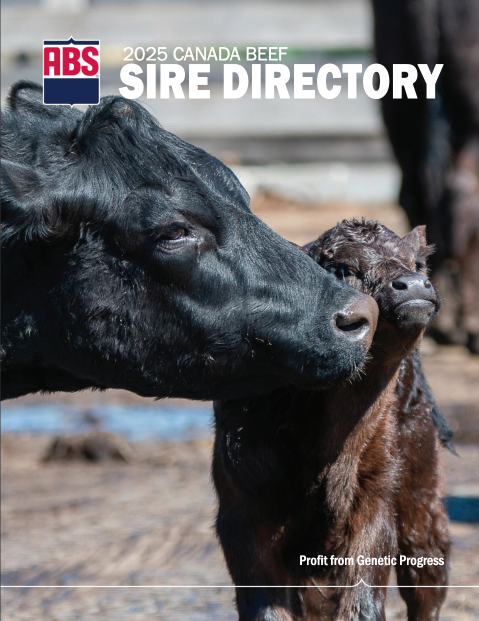 Sire Publications - ABS Global US