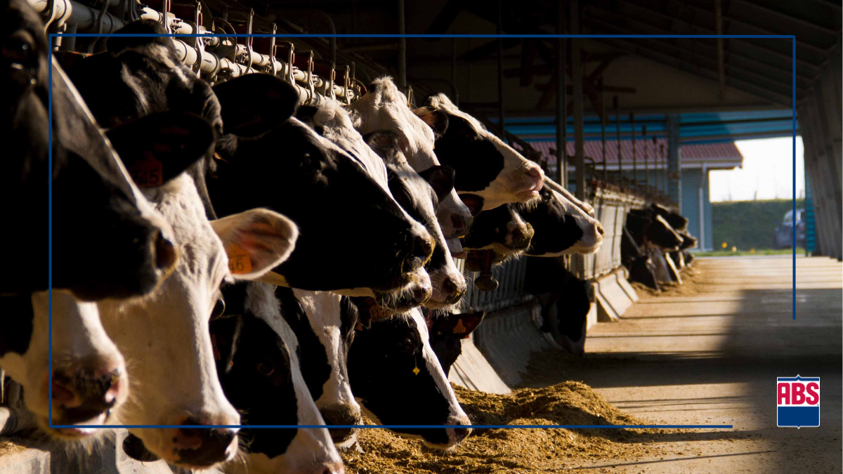 How Does the ABS Health Index Compare to DWP$? - ABS Global US