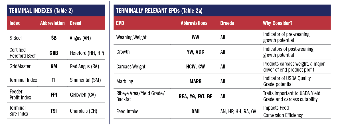 Choosing the Right Bull Based on Your Selection Criteria - ABS Global US