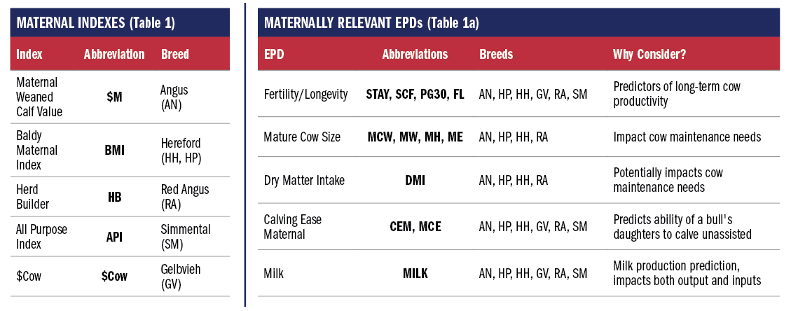 Choosing the Right Bull Based on Your Selection Criteria - ABS Global US