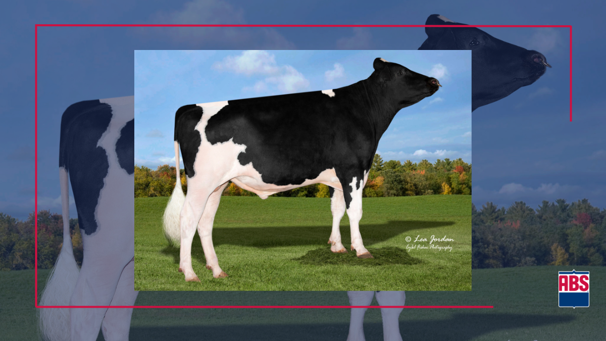 December 2025 Sire Summary: Diverse, Balanced Sires Impact Profit - ABS ...