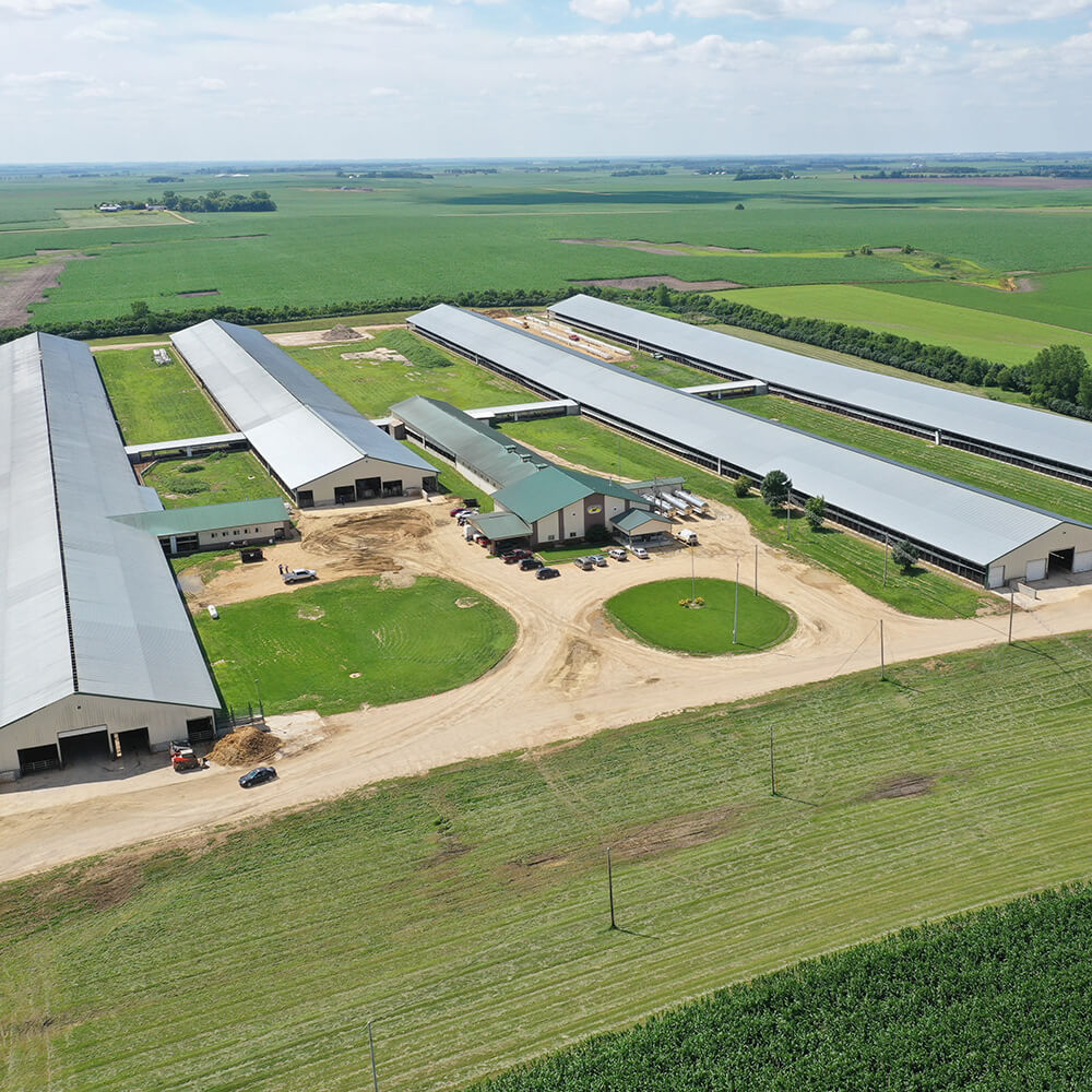 Golden Dakota Farms - ABS South Africa